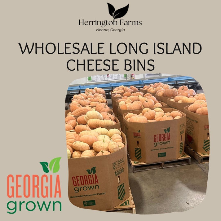 Wholesale: Long Island Cheese Bins – Herrington Farms